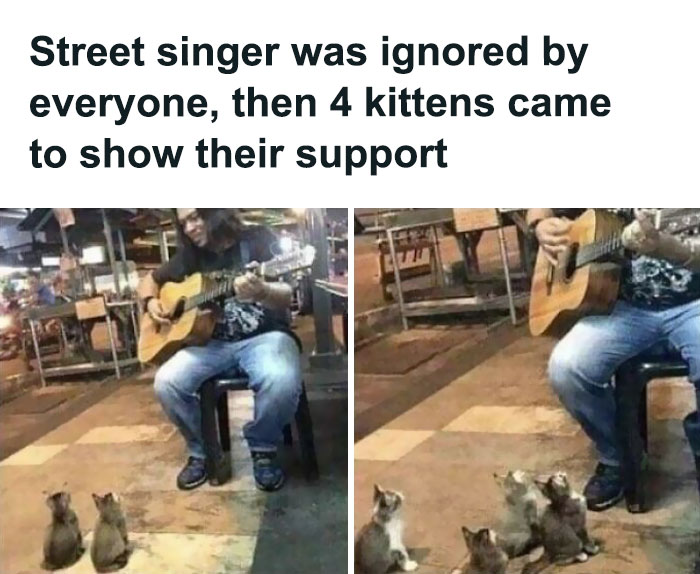 46 memes offering a more positive take on everyday life