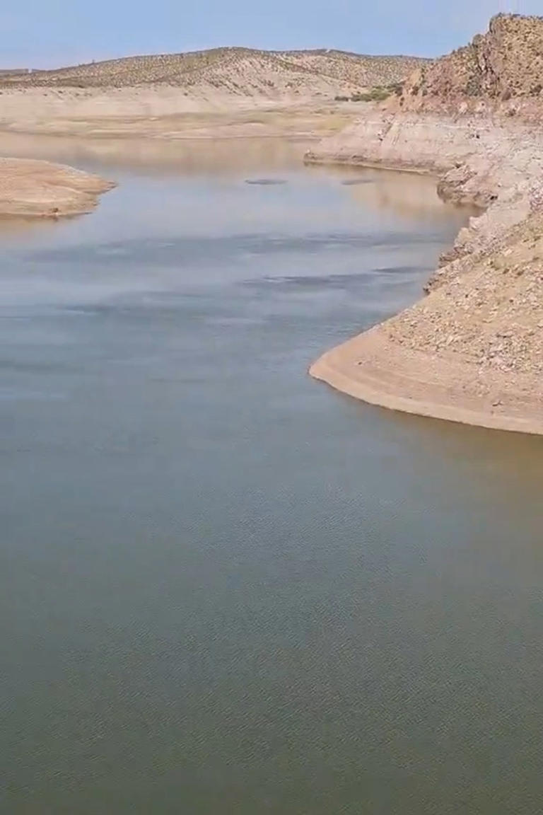 Popular lake closed after thousands of fish die — shocking video ...