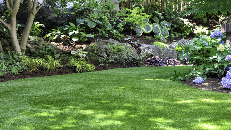 Fill your shaded garden with a ground cover that'll add color to your ...