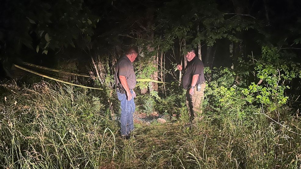 'No criminal charges': Human remains reportedly found in box in Benton ...