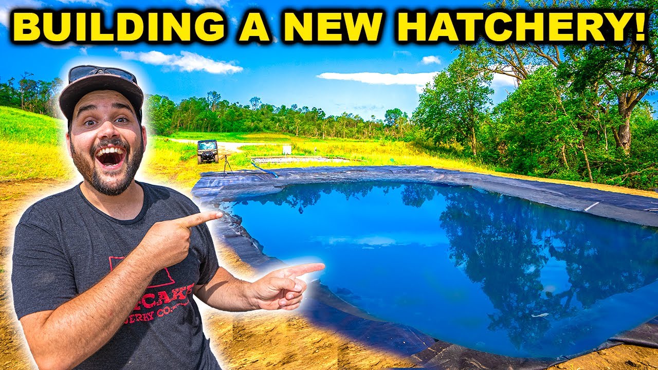 Watch my backyard fish hatchery come to life!