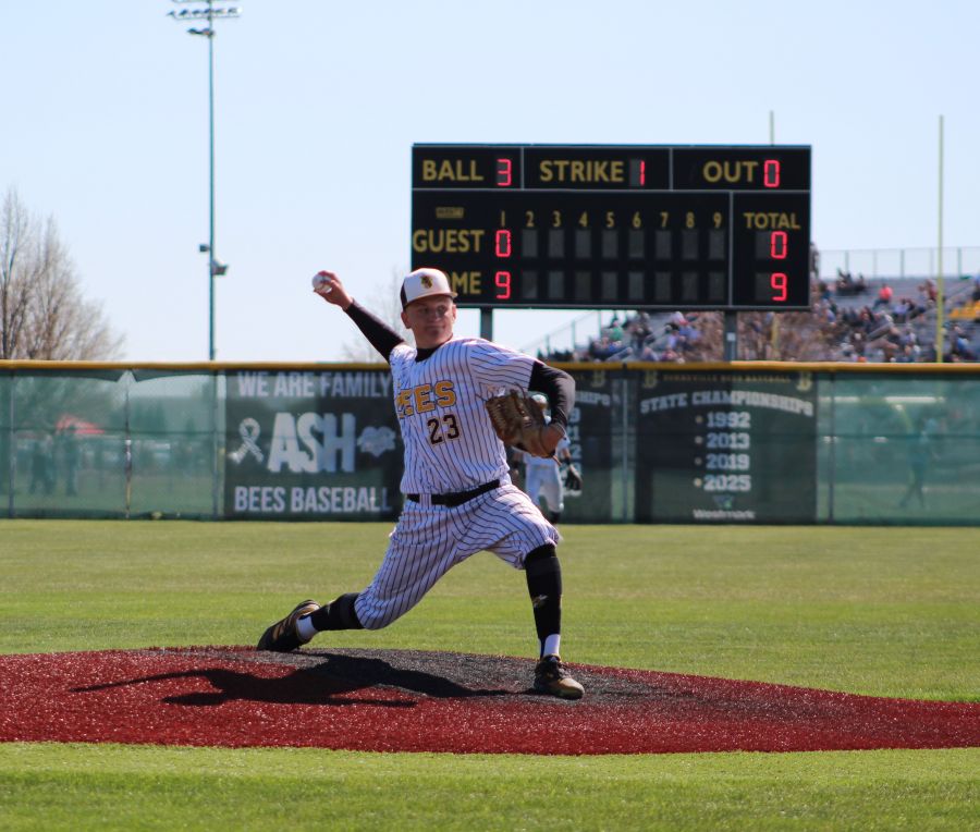 4 Bees earn 5A state all-tournament honors