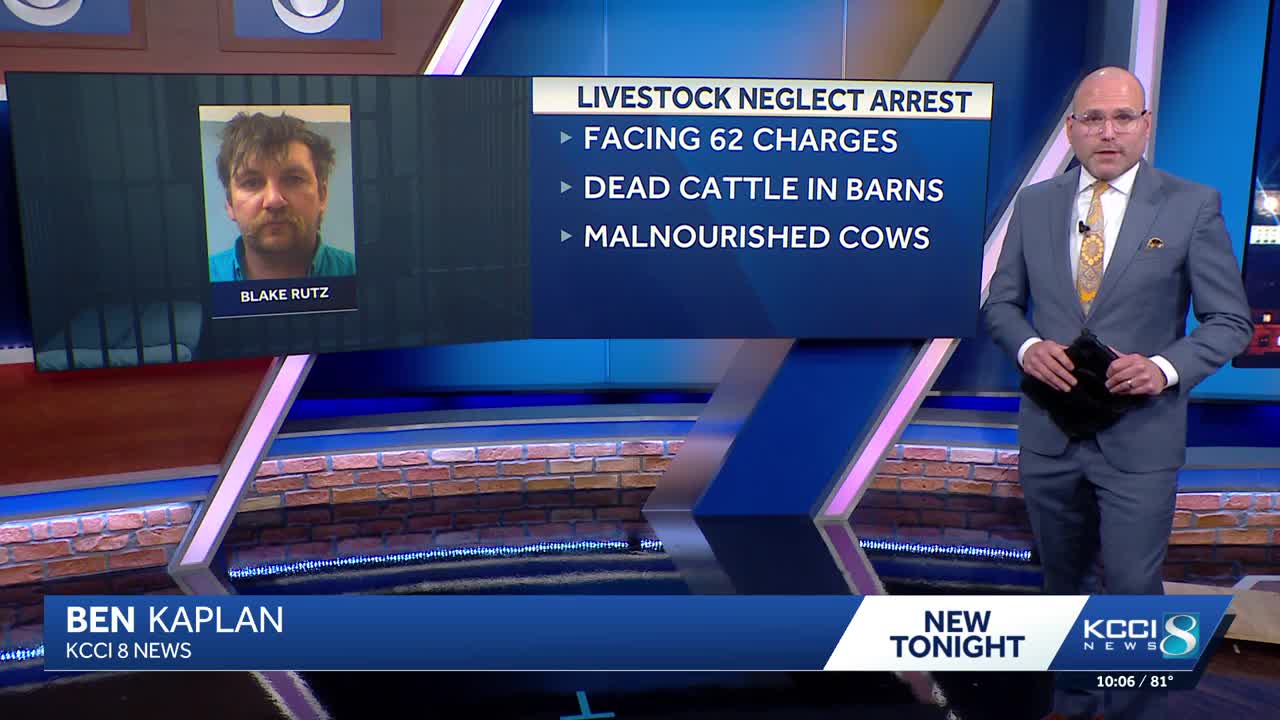Winterset man charged after dead cattle found in barns