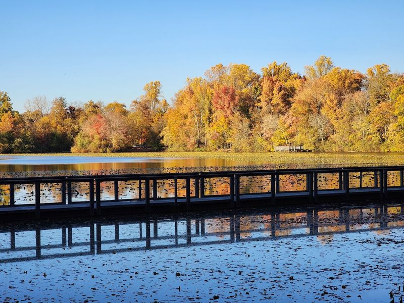 Most people drive past this New Jersey ghost town, but the floating ...