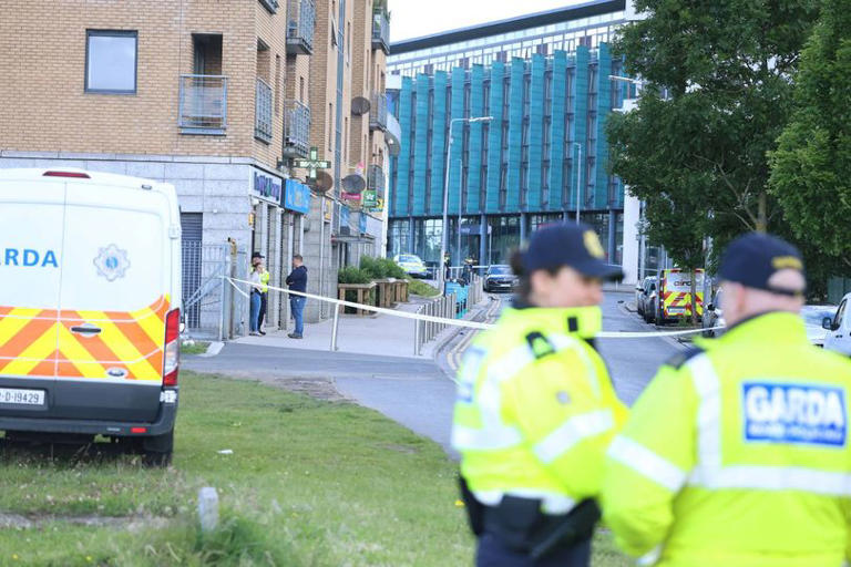 Violent criminal critical after being deliberately run over in Ballymun ...