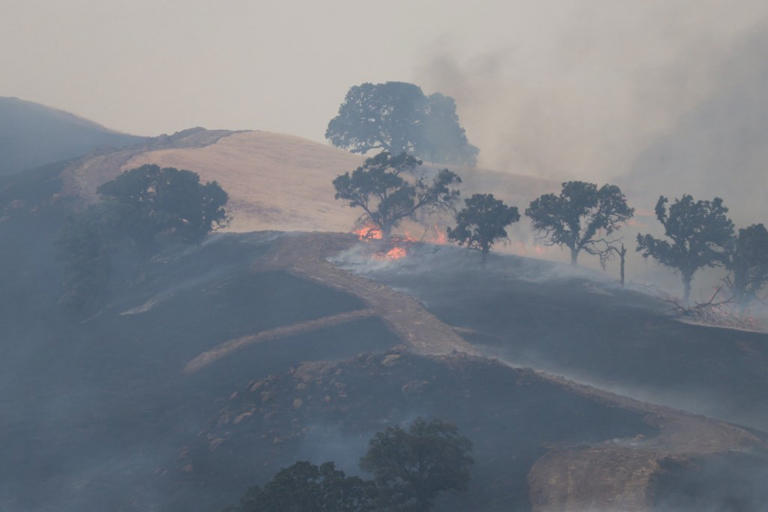 Wildfire explodes across wine country as firefighters battle strong ...