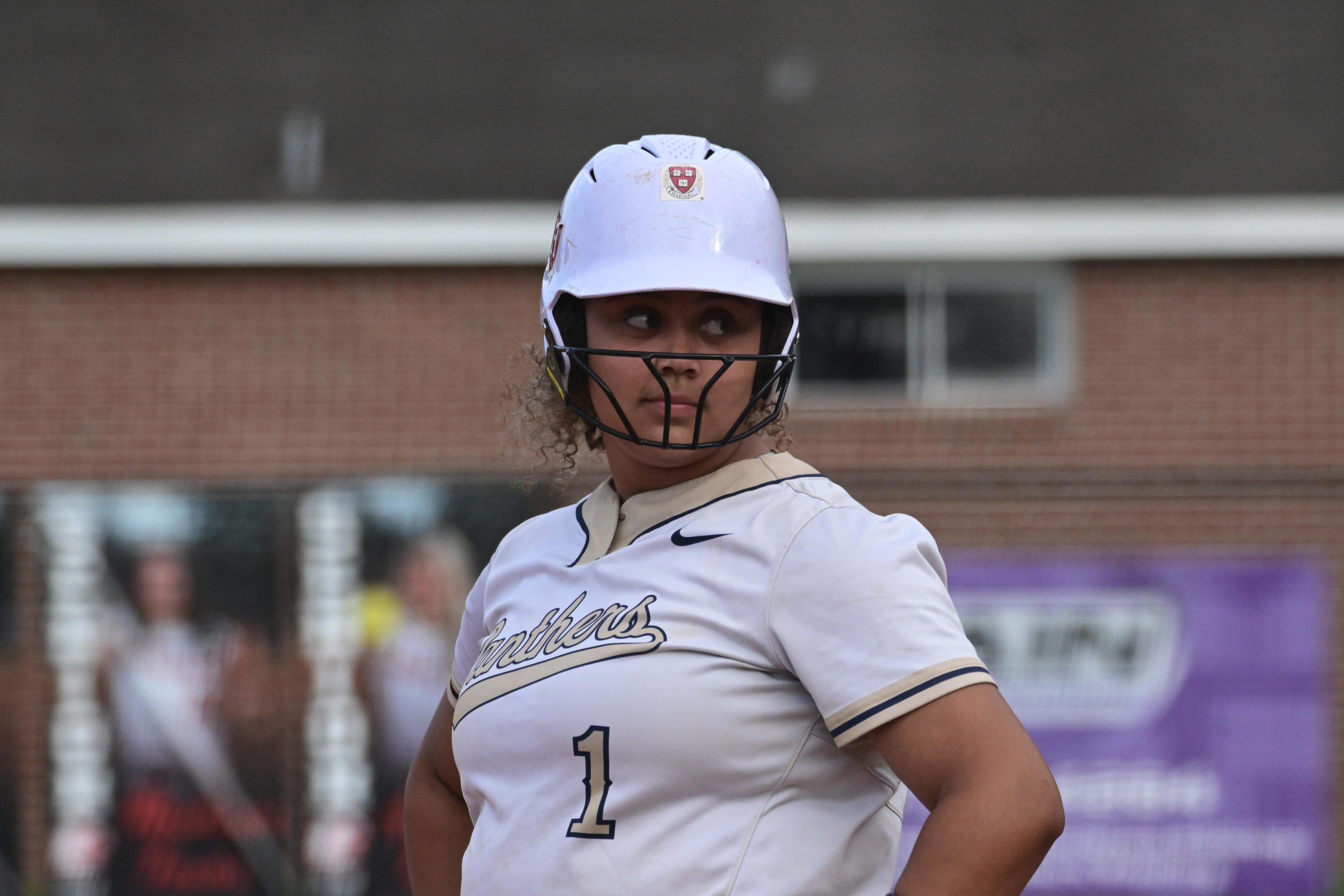 Who should be the 2026 All-Big Bend softball player of the year? Vote!
