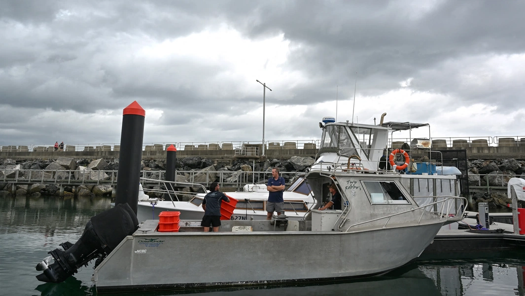 Spearfisher killed in Albany shark attack amid rare spike