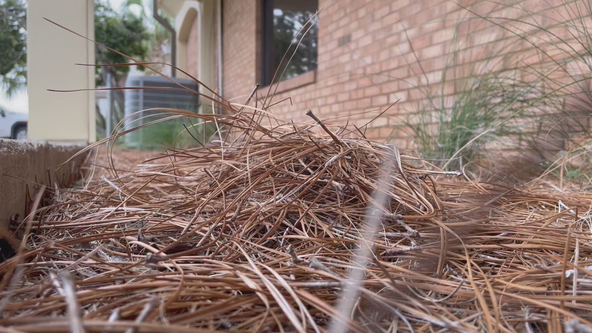Whiteville fire marshal issues pine straw warning after apartment blaze