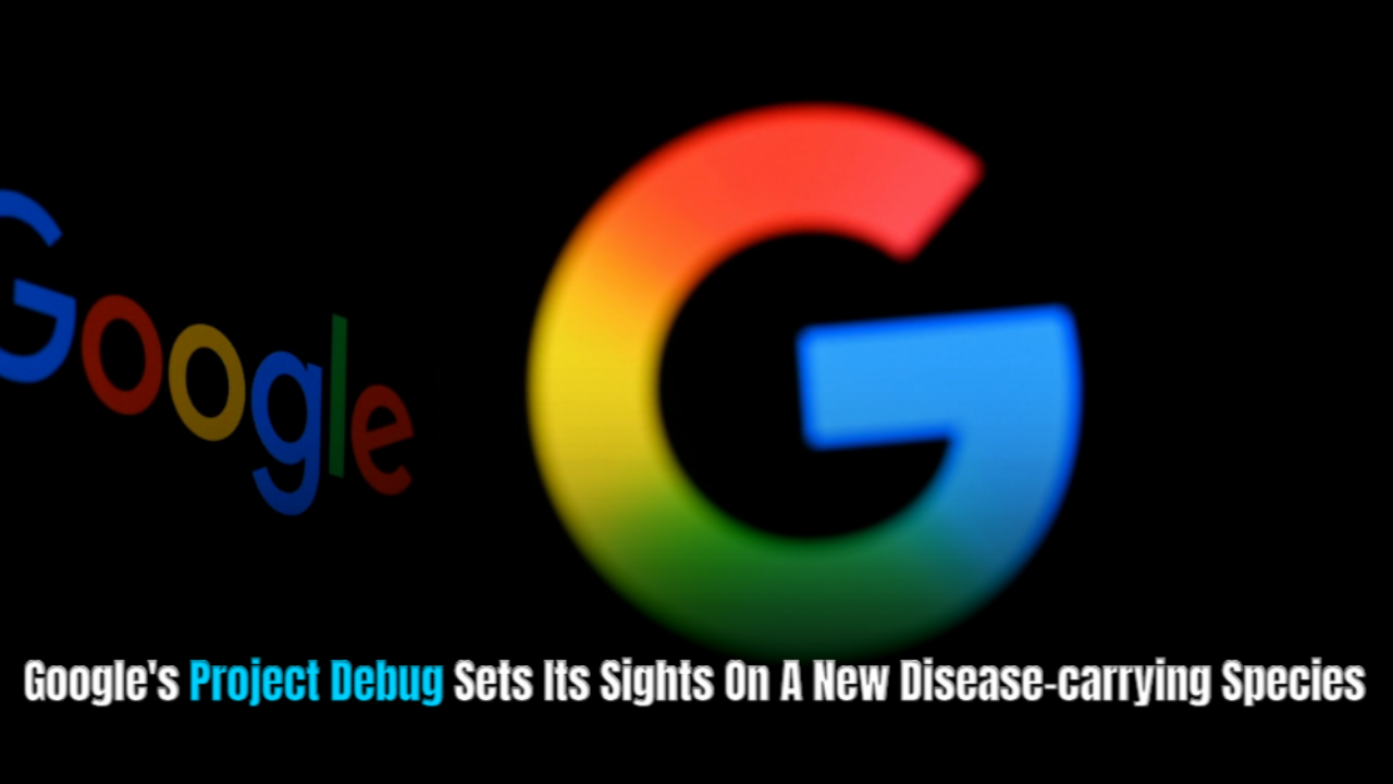 Google plans to release 32 million mosquitoes in California and Florida