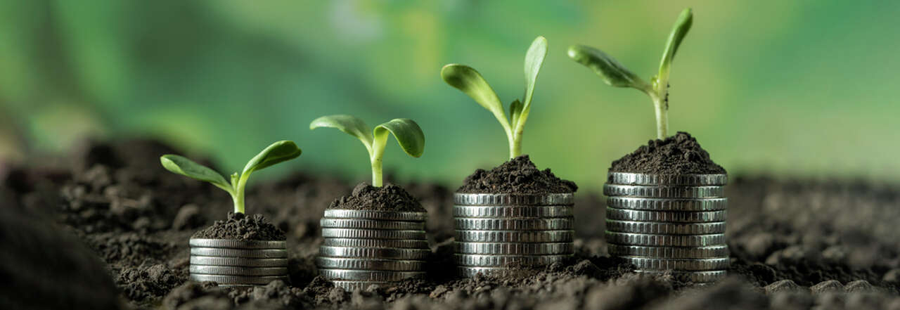 Farm Credit Illinois distributes $30 million to more than 8,400 farm ...