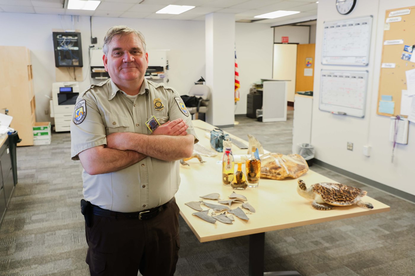 ‘Hey, this box stinks’: The weird work of intercepting trafficked ...