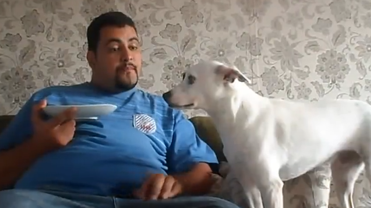 Man’s hilarious argument with his dog