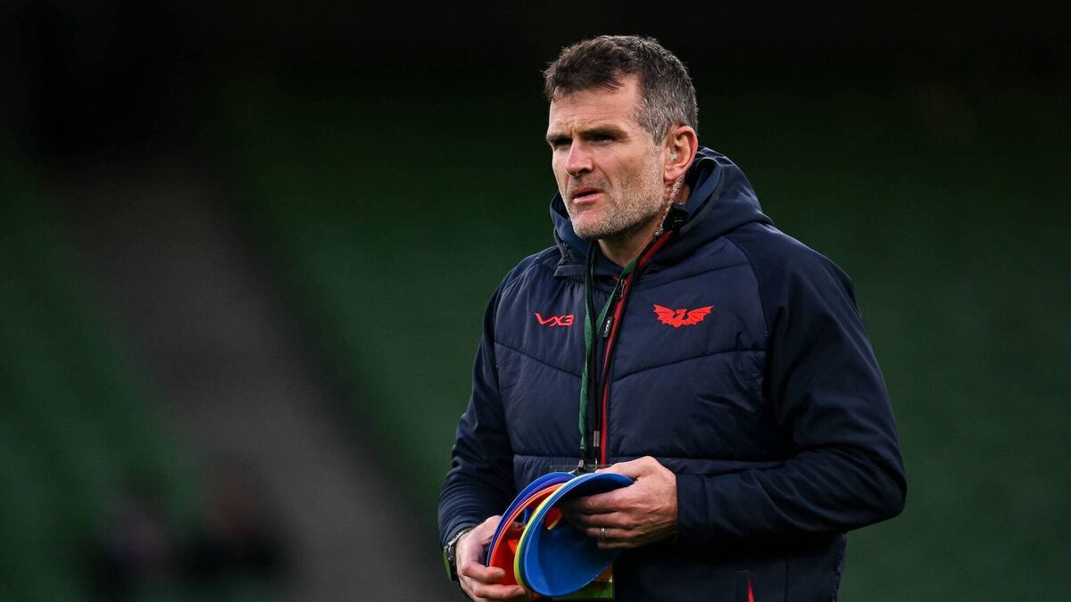 Ex-Ireland international Jared Payne joins Munster backroom team as ...