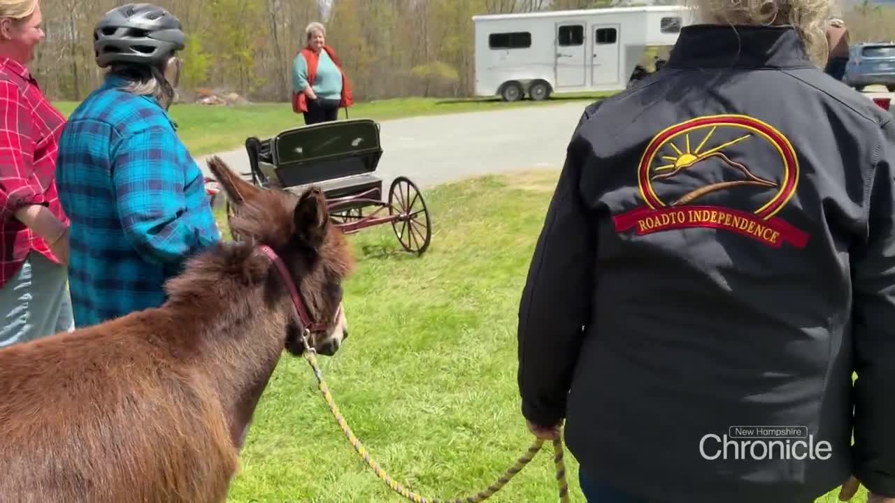 NH Chronicle: Donkeys making a difference