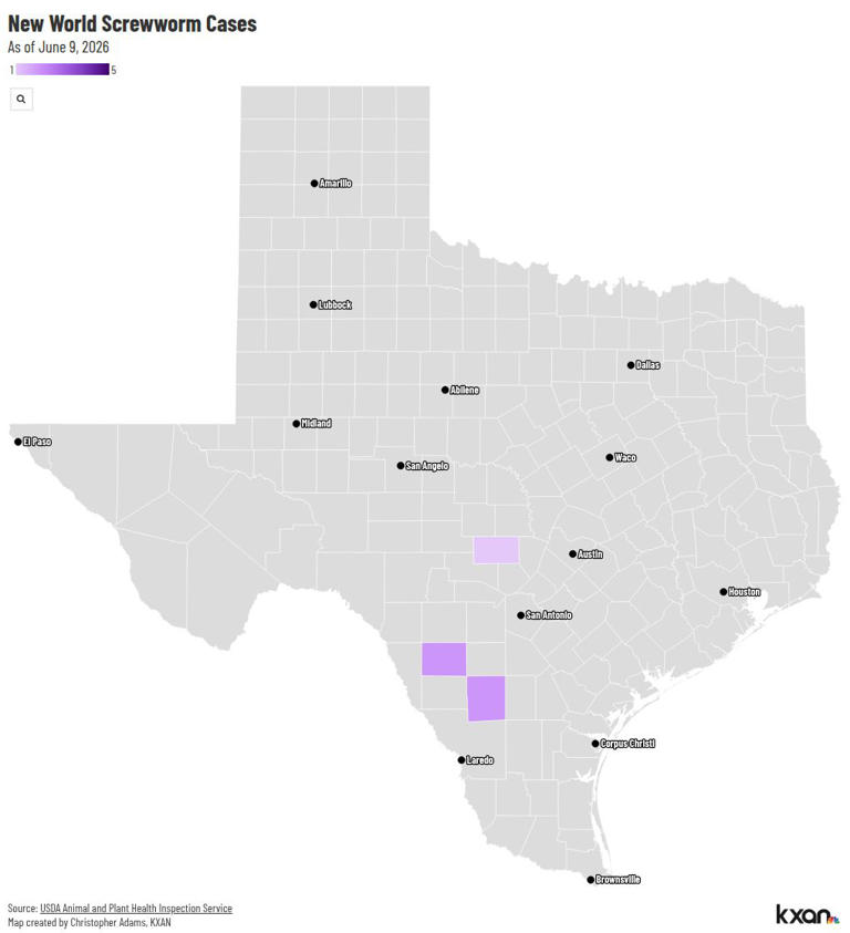 Map: Where have New World screwworm cases been reported in Texas?