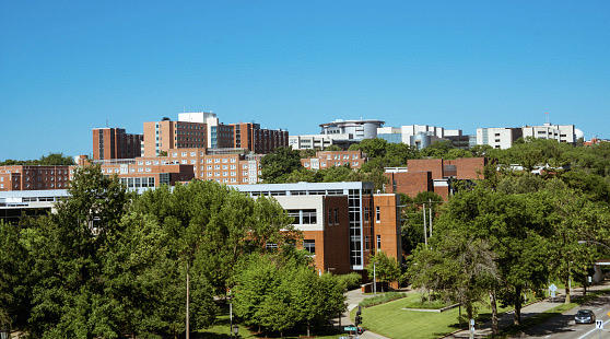 University of Iowa’s request to modify scholarship supporting Black ...