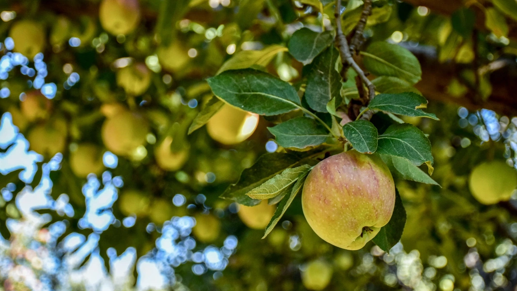 21 nutritious foods for easy, healthy eating