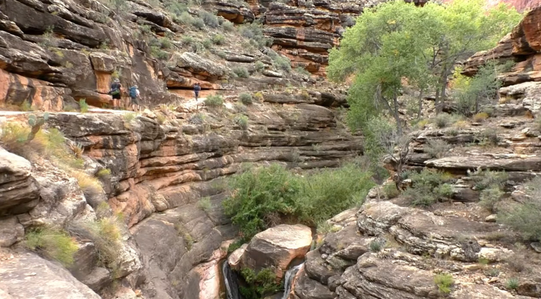 Young adult dies of heat-related illness while hiking in Grand Canyon ...
