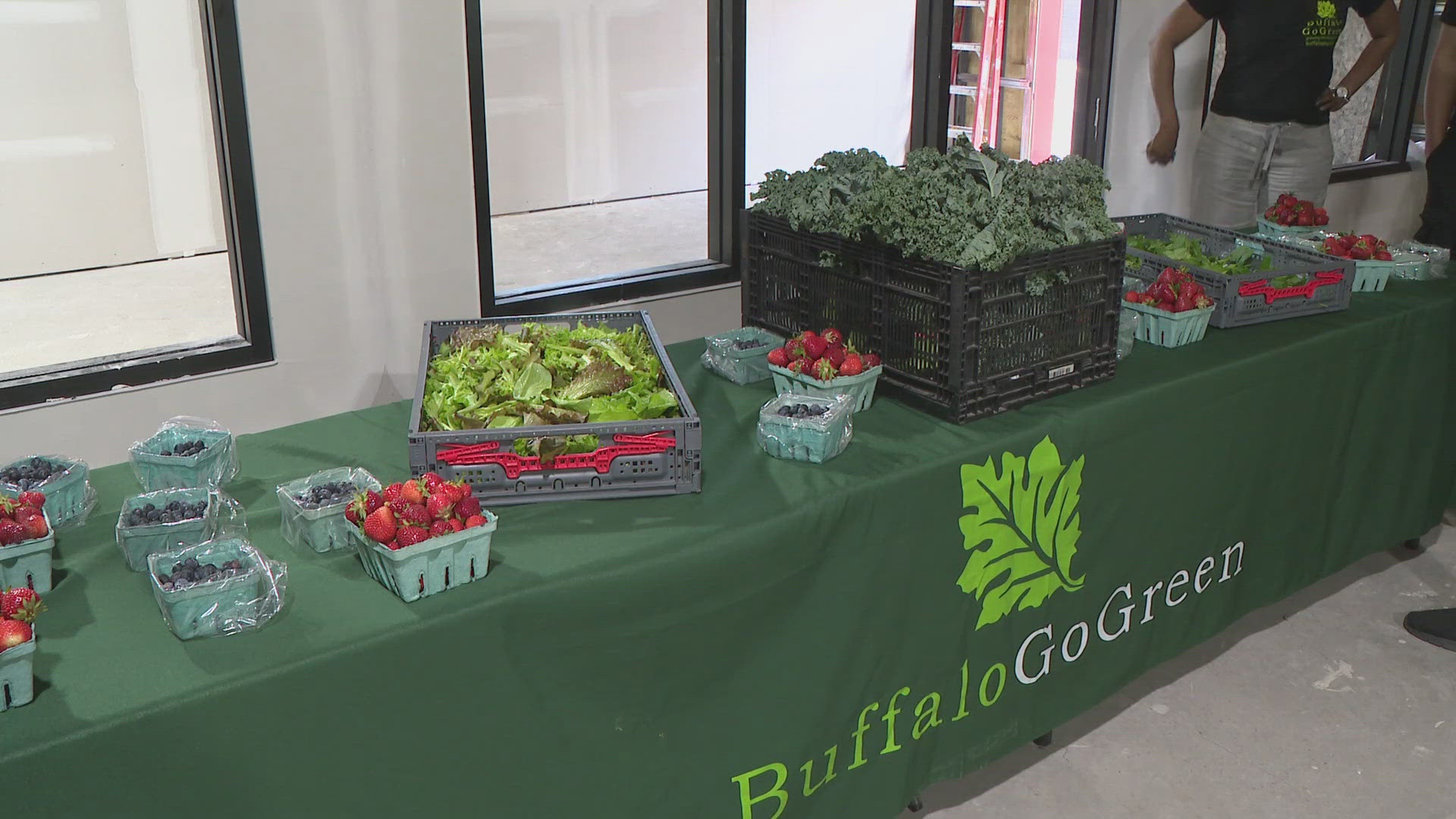 National Grid donates to Buffalo Go Green to spur program to create ...