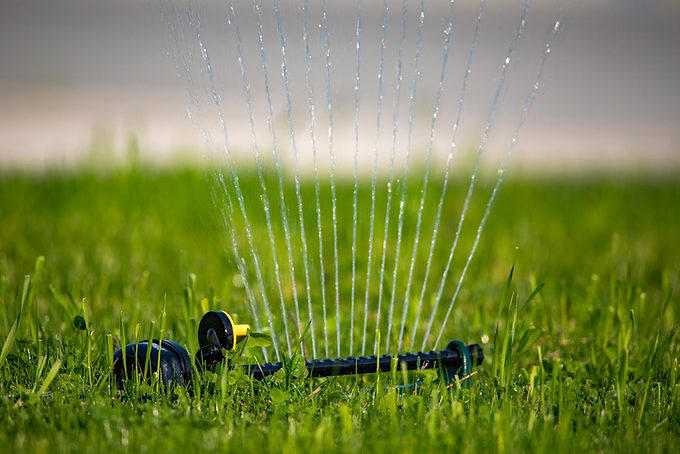 7 tips for growing a healthy lawn