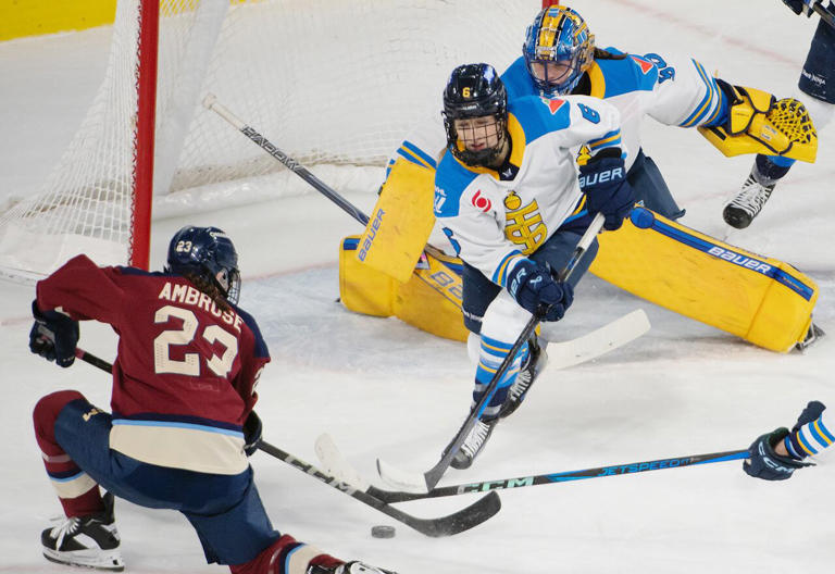 Setting a foundation: What we've learned about the PWHL's 4 newest ...