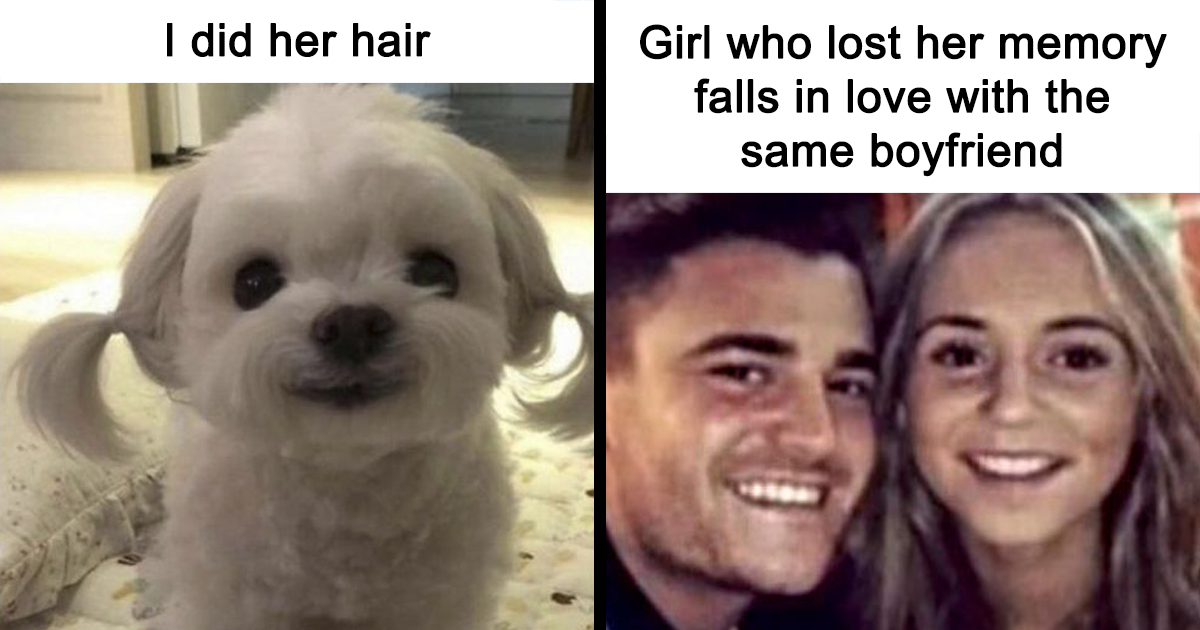 46 memes offering a more positive take on everyday life
