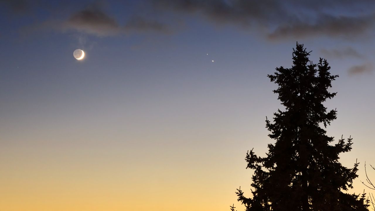 Don't miss the moon and Saturn put on a spectacular show before sunrise ...