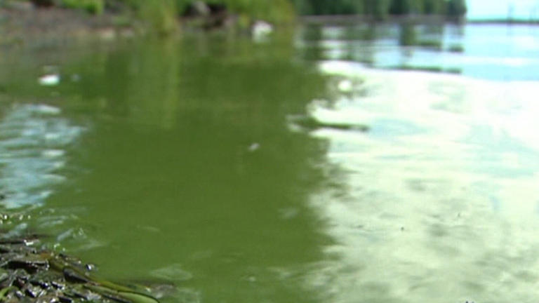 Mo. State Parks warn of harmful algal blooms in ponds, lakes