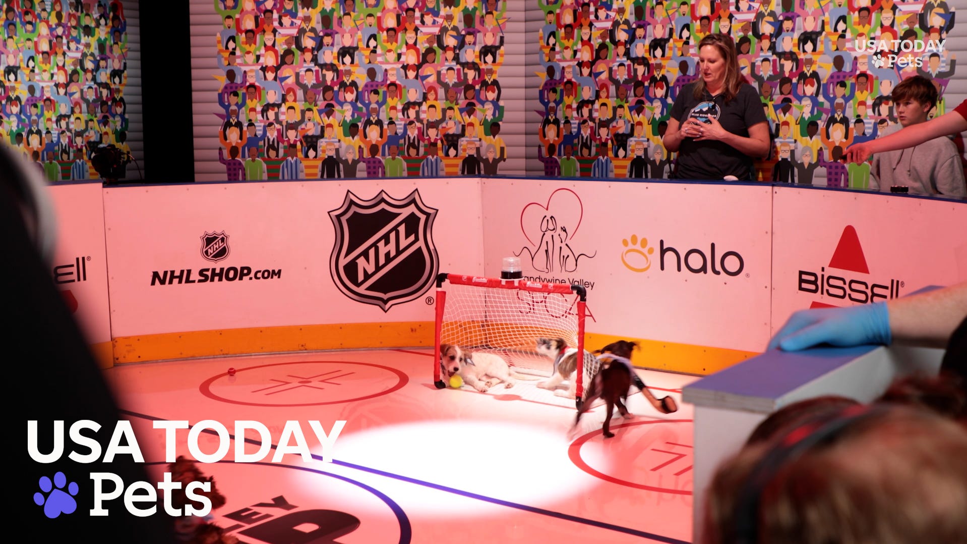 NHL Stanley Pup helps rescue dogs find forever homes