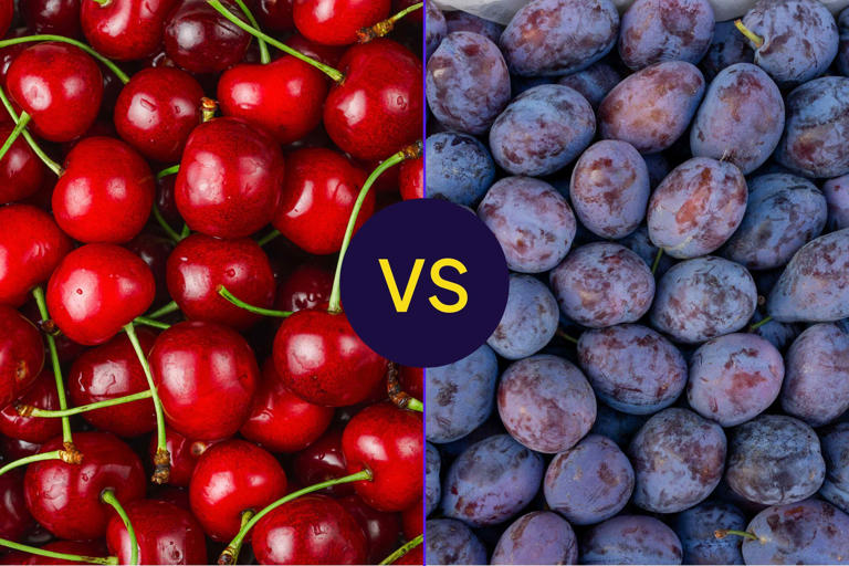 Cherries vs. plums: Which fruit supports healthy blood pressure best?