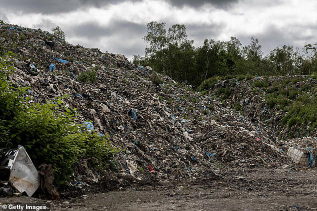 Reform UK vows to make Britain beautiful again with major crackdown on ...