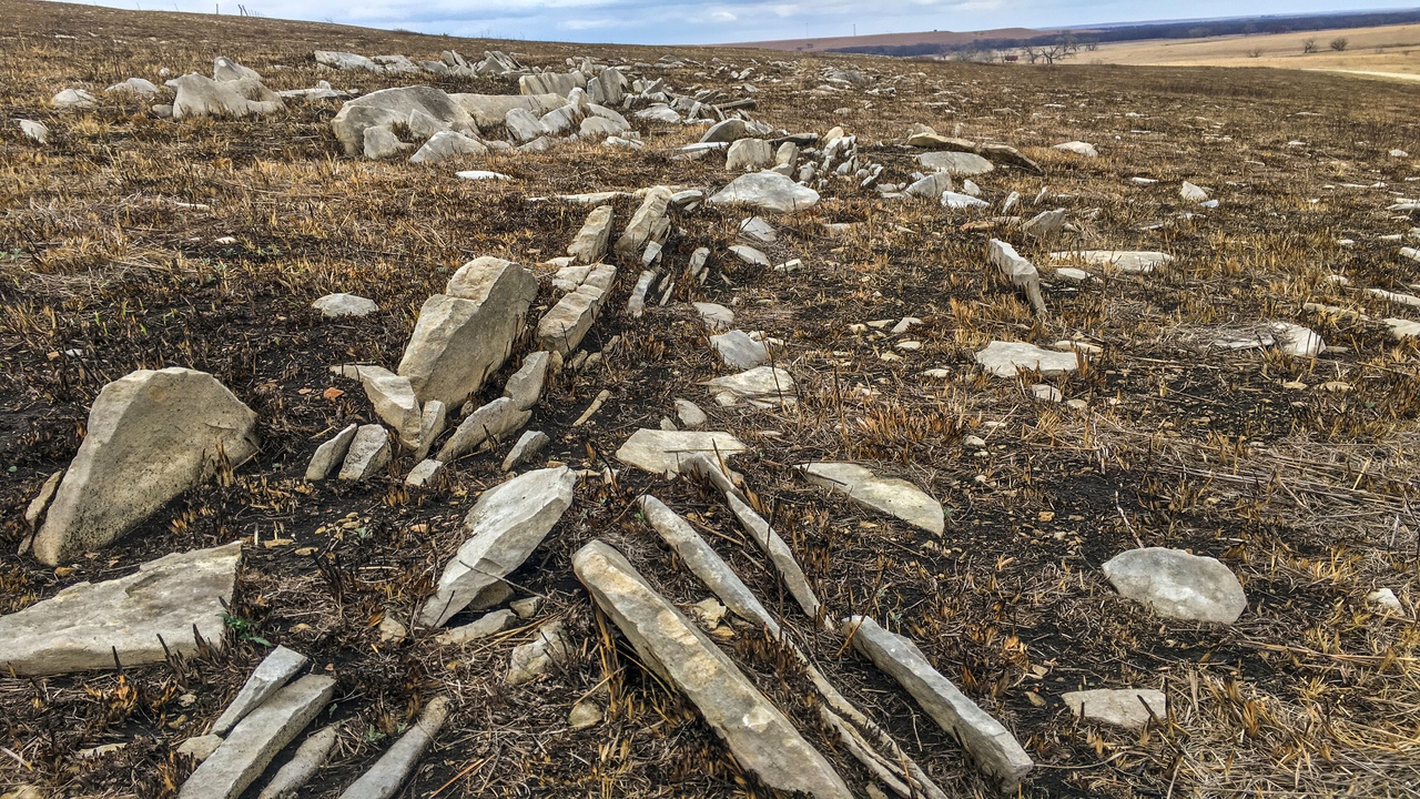 Spring fires, roaming bison, and grass taller than your waist: welcome ...