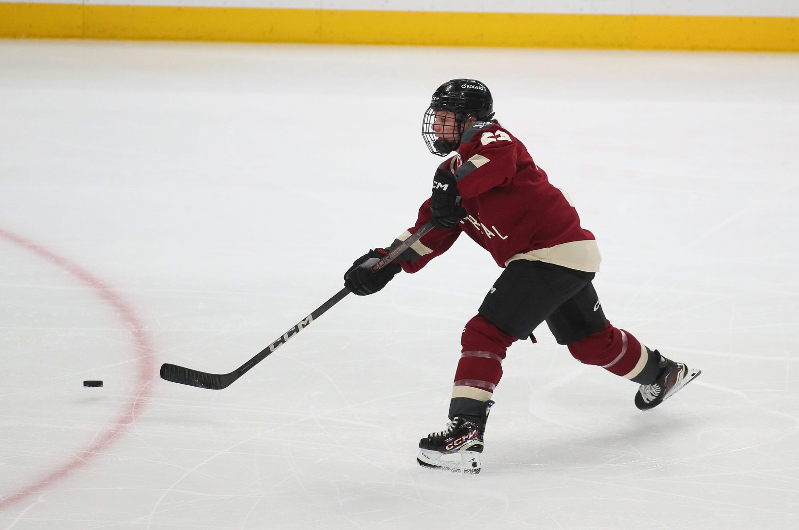 PWHL Las Vegas Has Signed Teammates From the Walter Cup Champion ...