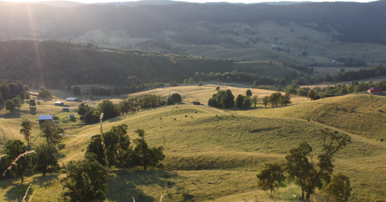 These 5 Virginia towns are perfect for nature lovers