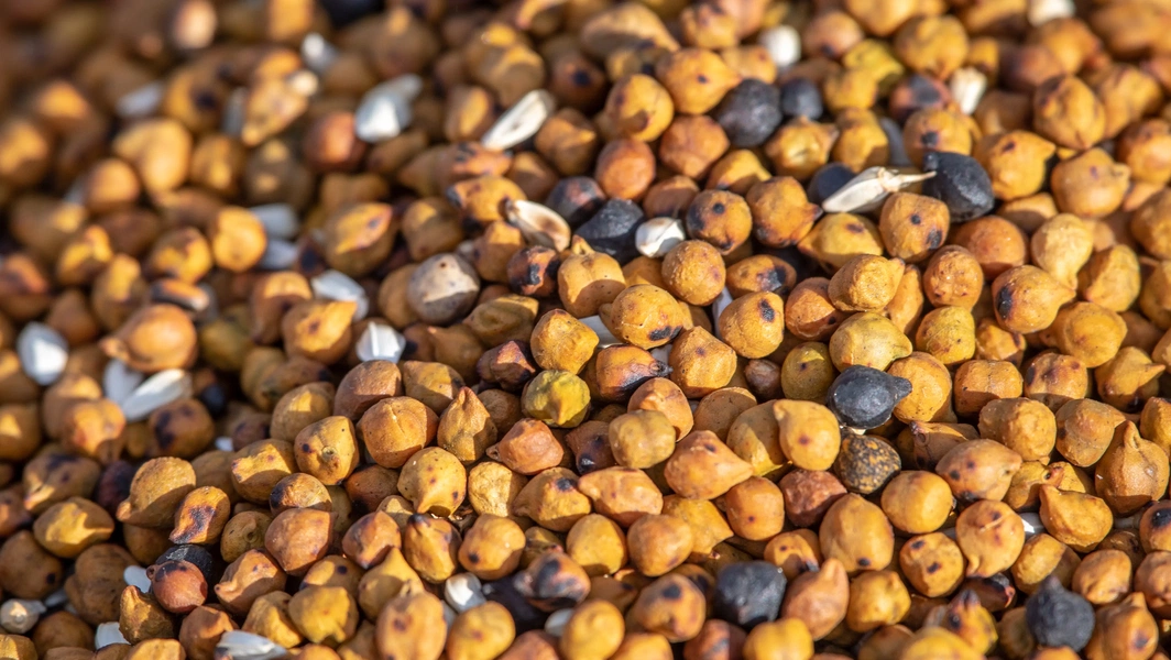 Crispy roasted chickpeas made easy