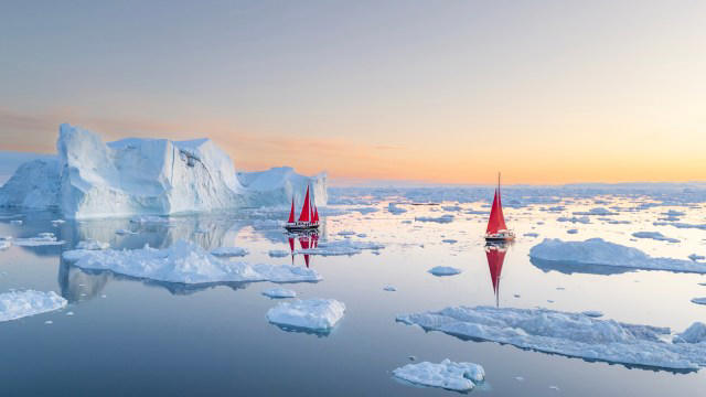 As Arctic sea ice vanishes, a vital nutrient is disappearing with it ...