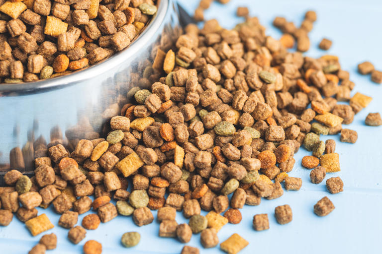 These recalled pet foods may cause neurological issues. See list