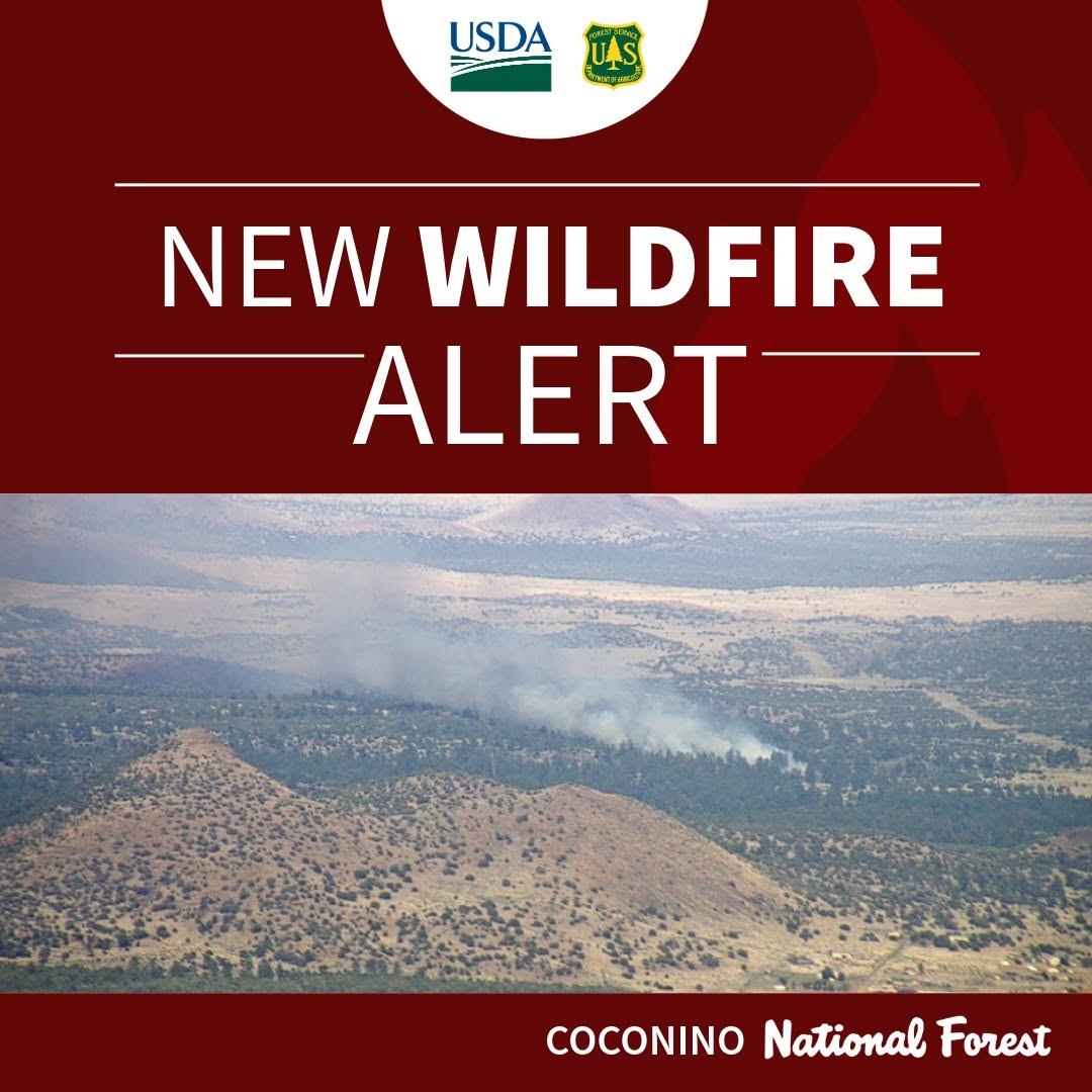 Fast-moving Papa Fire grows near Flagstaff under red flag warning