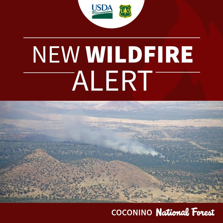 Fast-moving Papa Fire grows near Flagstaff under red flag warning