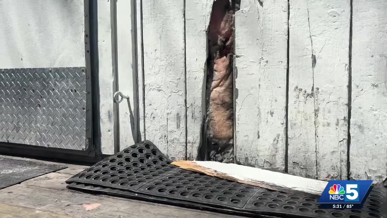 Bear killed by police in Stowe after repeated attempts to access restaurant