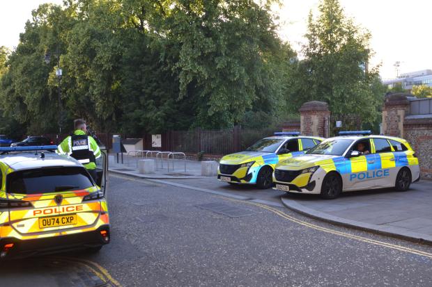 Small turnout to protest at Forbury Gardens in Reading tonight