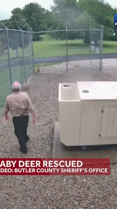 Baby deer rescued after being trapped in Butler County Park fence