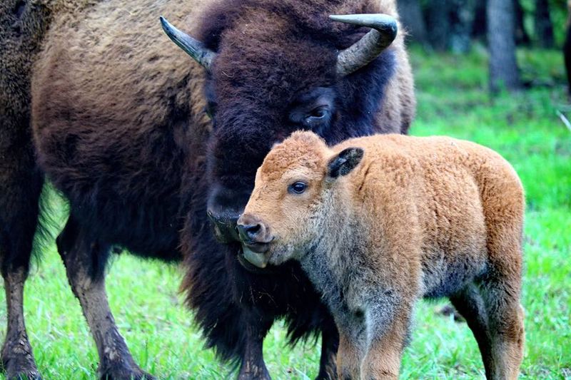 These are the 10 best Oklahoma places where time stands still
