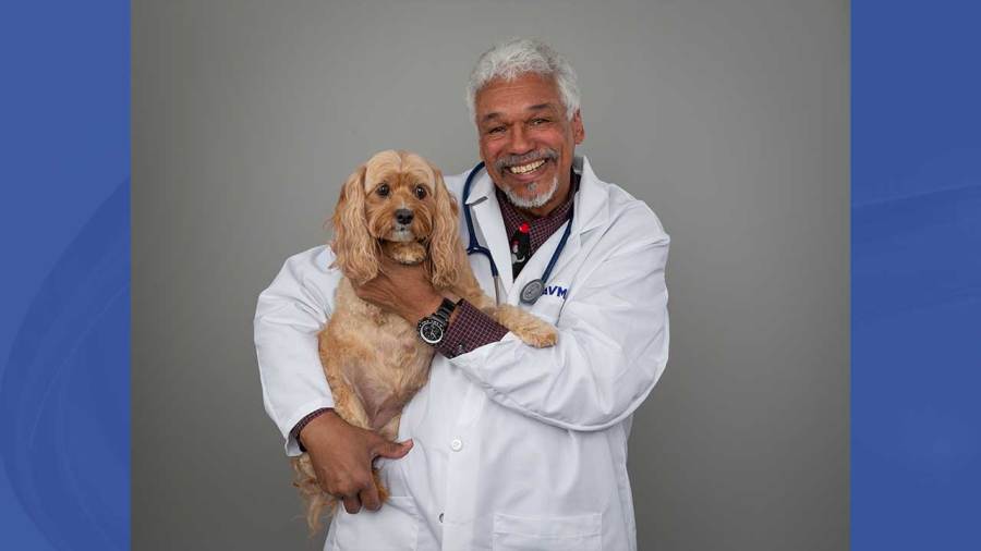 Expert advises pet owners to plan, not ignore care