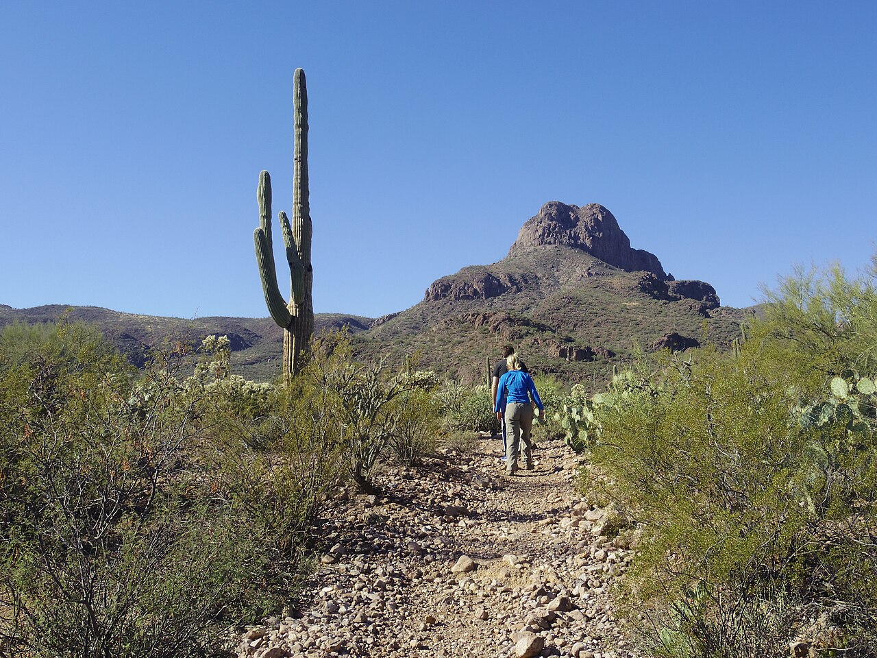 Arizona has a national park that wraps around an entire city, and it’s ...