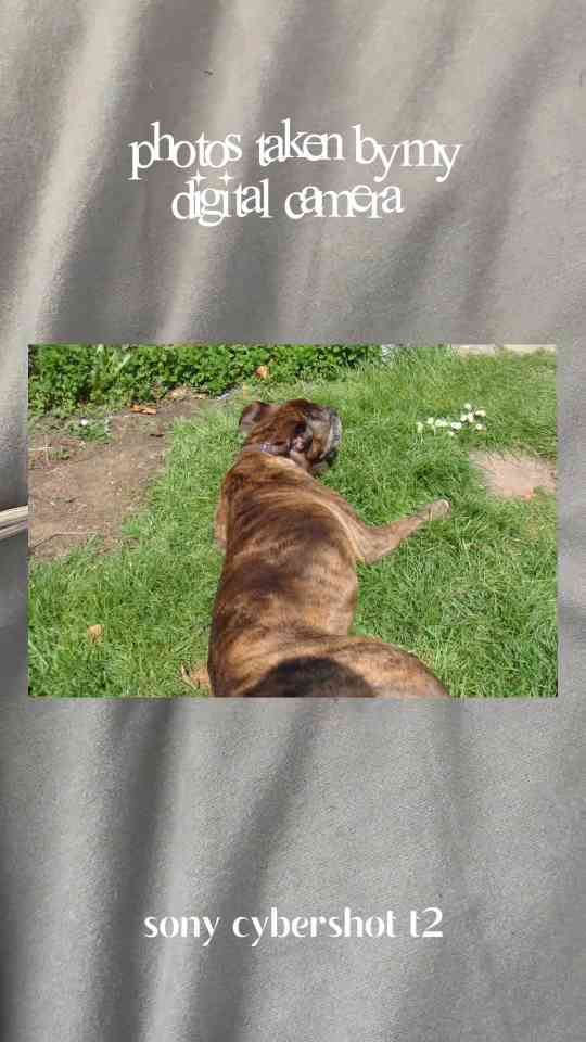 Digital camera aesthetic capturing everyday moments with digicam nostalgia