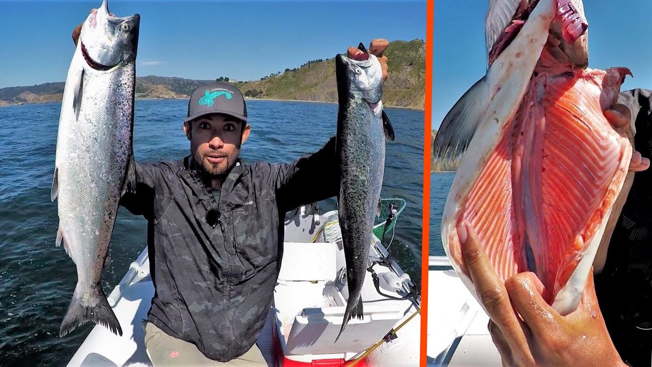 Fishing for salmon solo in Pacific Ocean bright pink meat