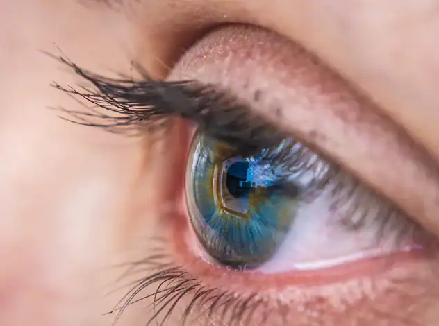 Pesquisadores testam nova técnica para doenças degenerativas da retina