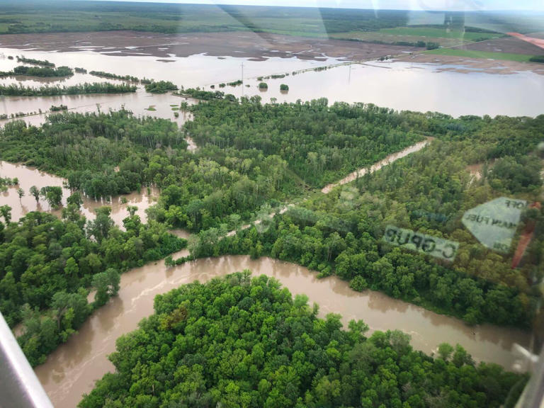 Livestock farmer worries cattle swept away in western Manitoba floods